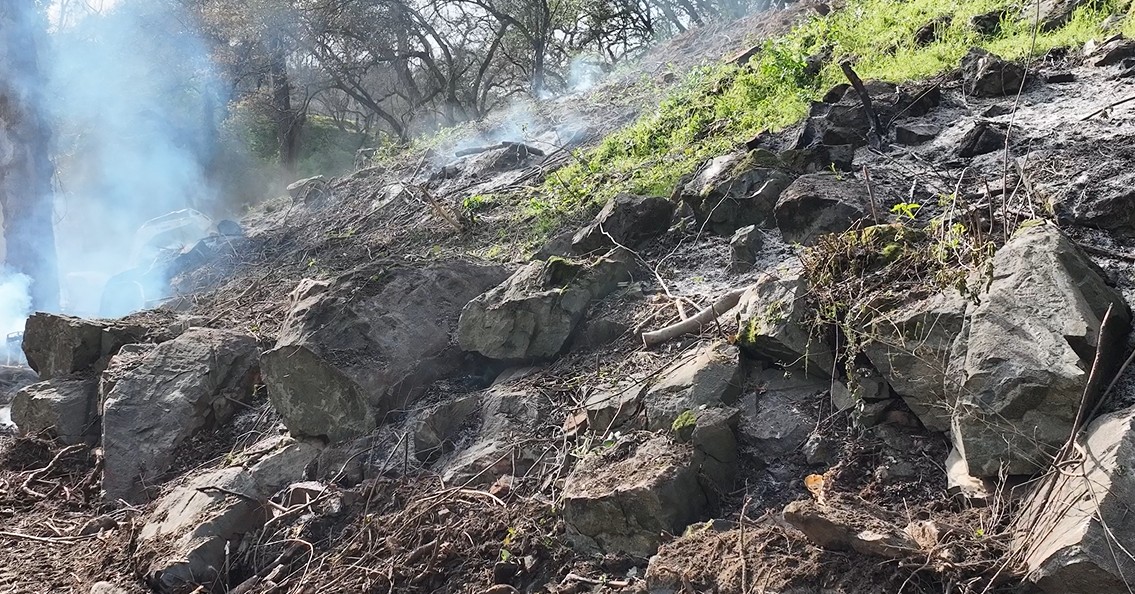 FTC Land Management | Land Clearing | Roseville CA