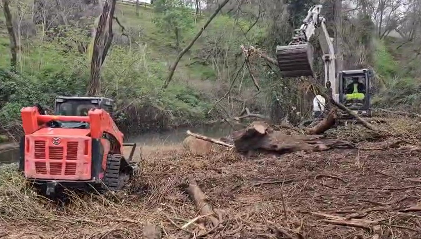 Stump and Tree Removal Services - FTC Land Management